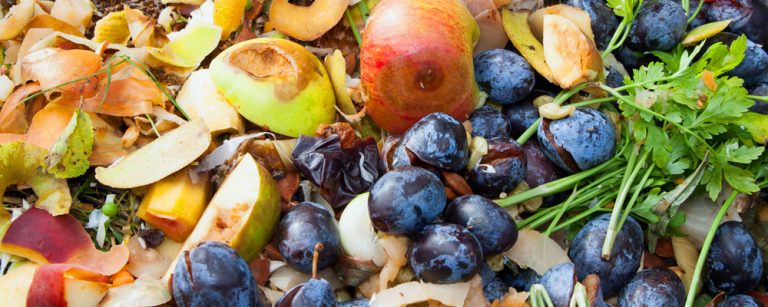 Conference Presentation – Full-Scale Food Waste Anaerobic Digester ...